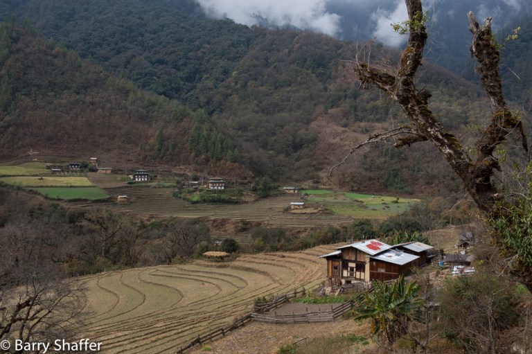 Trek to Drongthang and Bemji | Essence of Bhutan